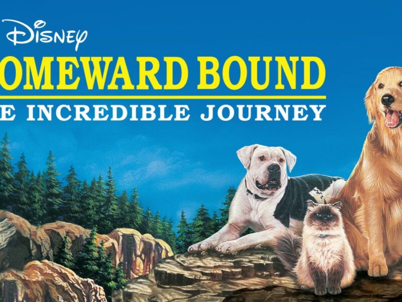 Review dan Sinopsis Homeward Bound: The Incredible Journey (1993)