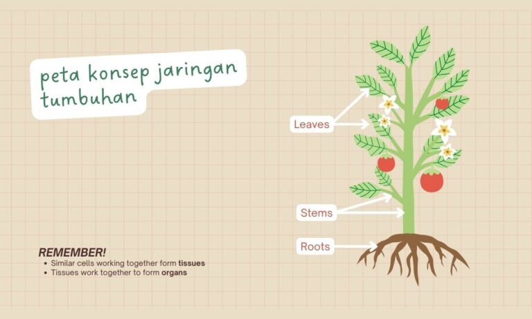 10 Contoh Peta Konsep Kreatif Simple dan Menarik