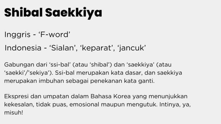 Arti Shibal Saekkiya, Umpatan ala Korea yang Populer