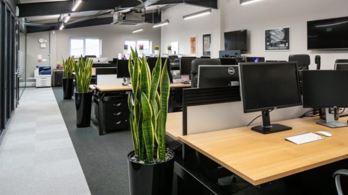 6 Upaya Menciptakan Kantor Ramah Lingkungan Tanpa Biaya Besar!