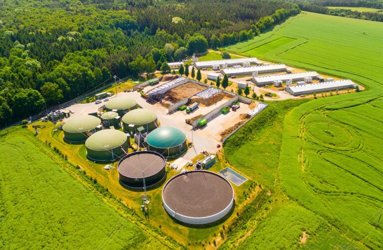 6 Contoh Biofuel: Sumber Energi Terbarukan dan Ramah Lingkungan