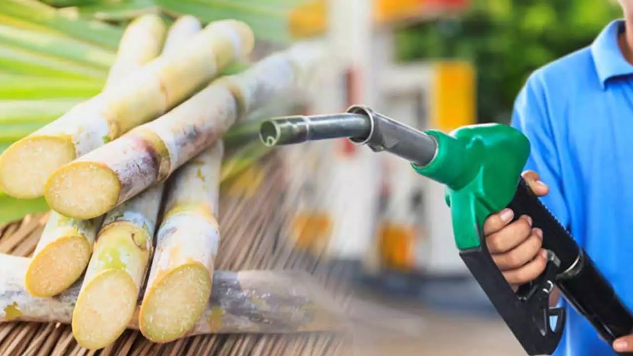 6 Contoh Biofuel: Sumber Energi Terbarukan dan Ramah Lingkungan