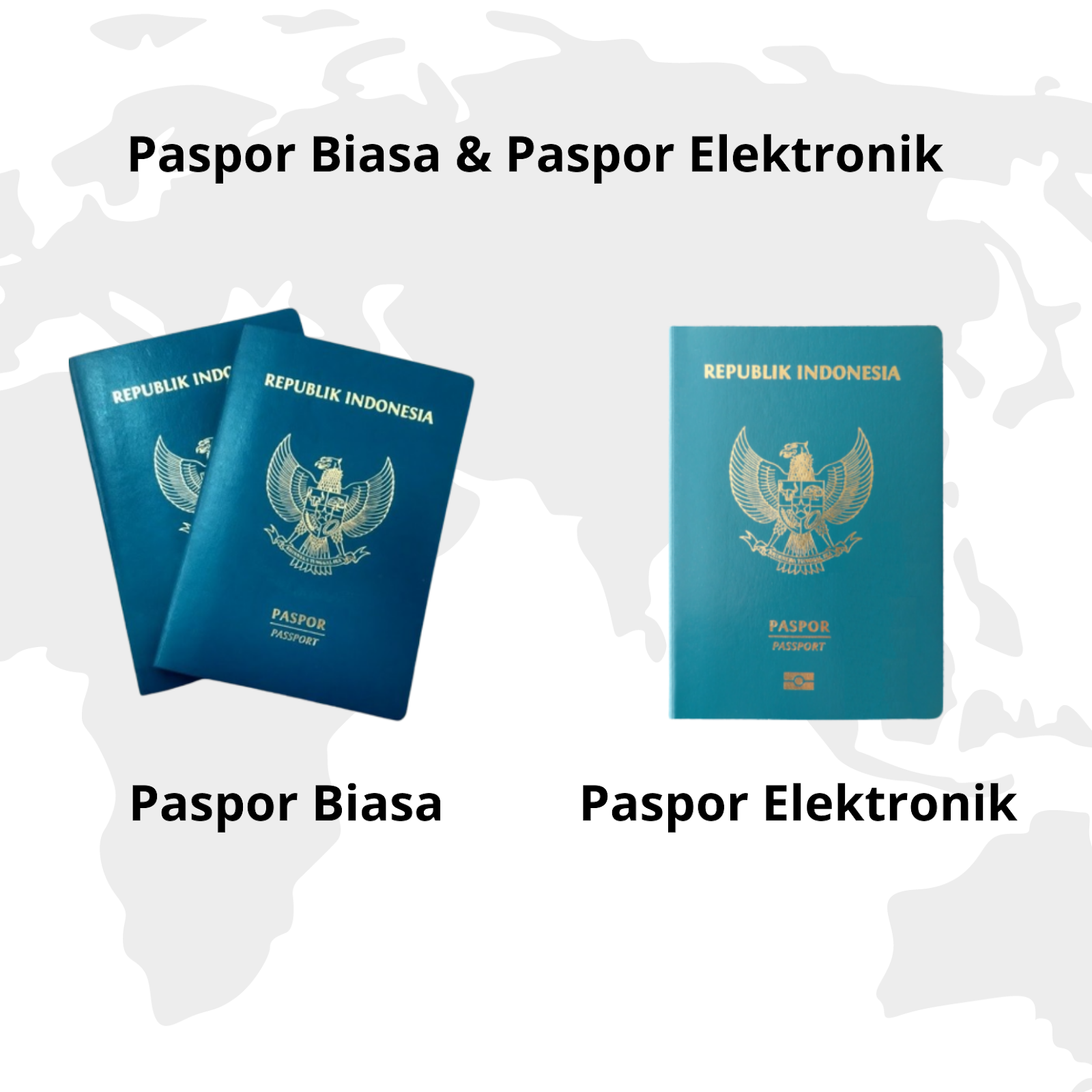 Perbedaan Paspor dan Visa, Wajib Tahu Sebelum ke Luar Negeri